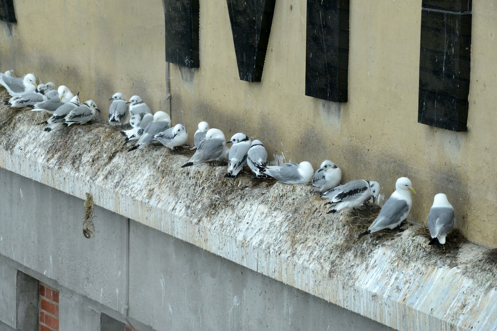 Welcome to Baltic | Baltic Centre for Contemporary Art